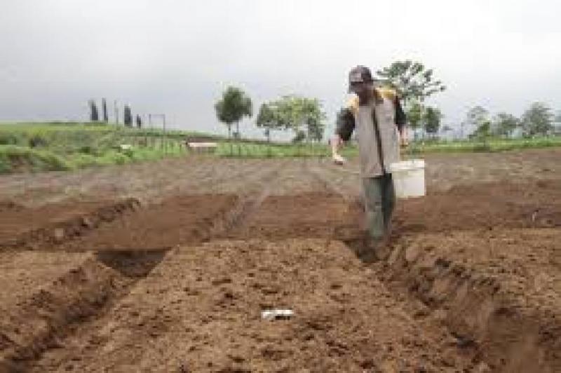 Waktu Yang Tepat Menebar Benih